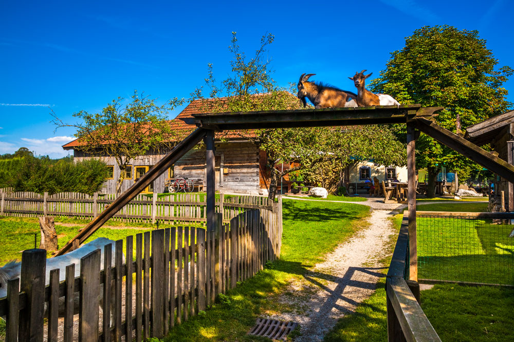 Urlaub am Bauernhof im Salzburger Seenland